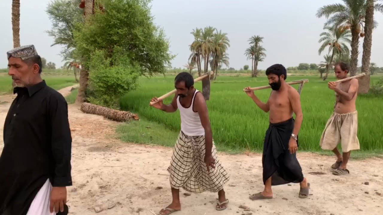 Village Rural life || Village people Daily routine work - YouTube