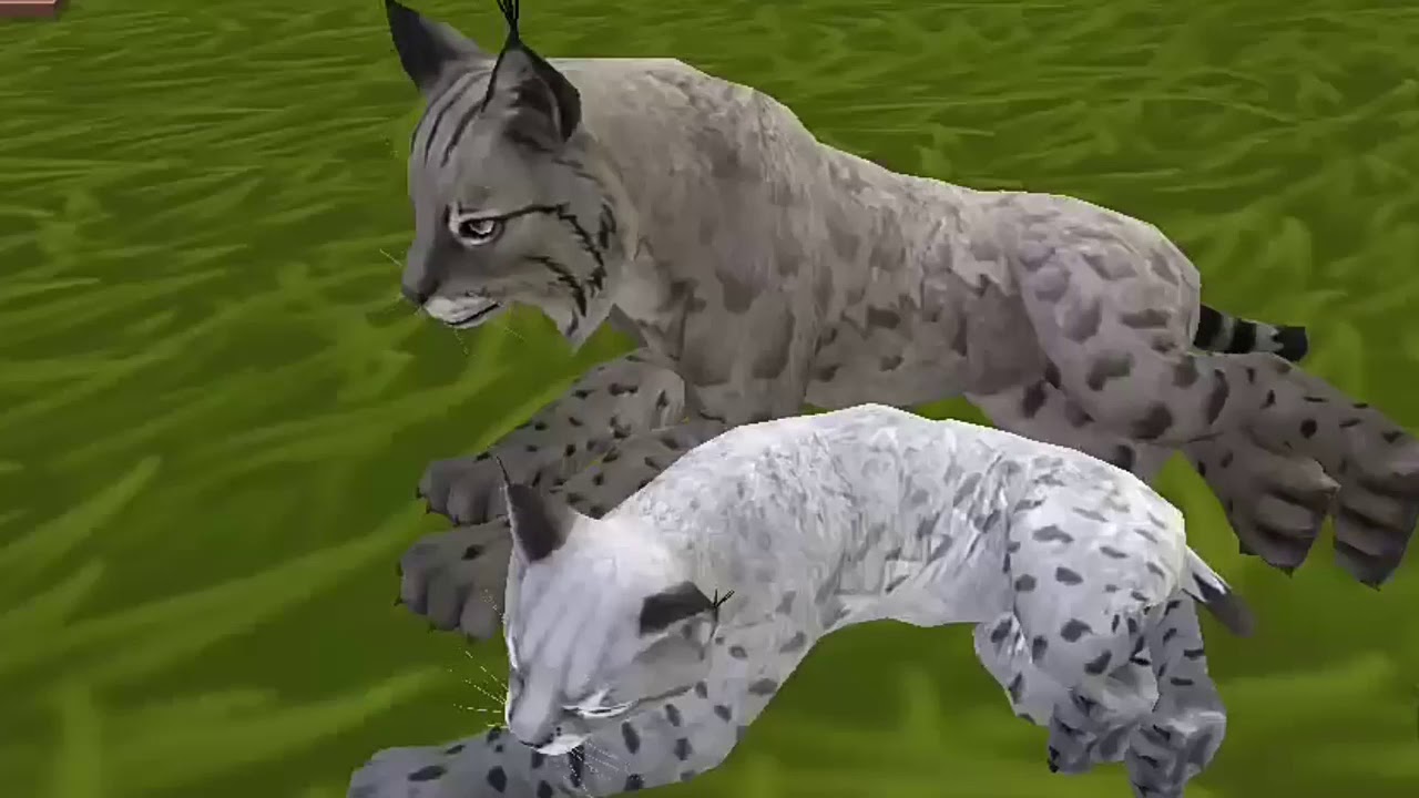 Parte 1 do mini filme o lince branco - YouTube