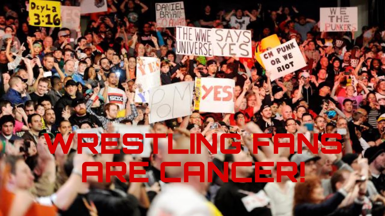 Reasons Why Wrestling Fans Are Cancer - YouTube