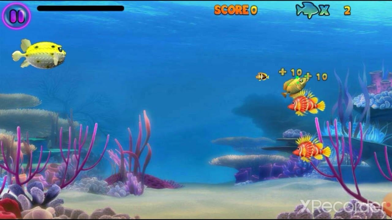 Fish Feeding Level 1 - YouTube