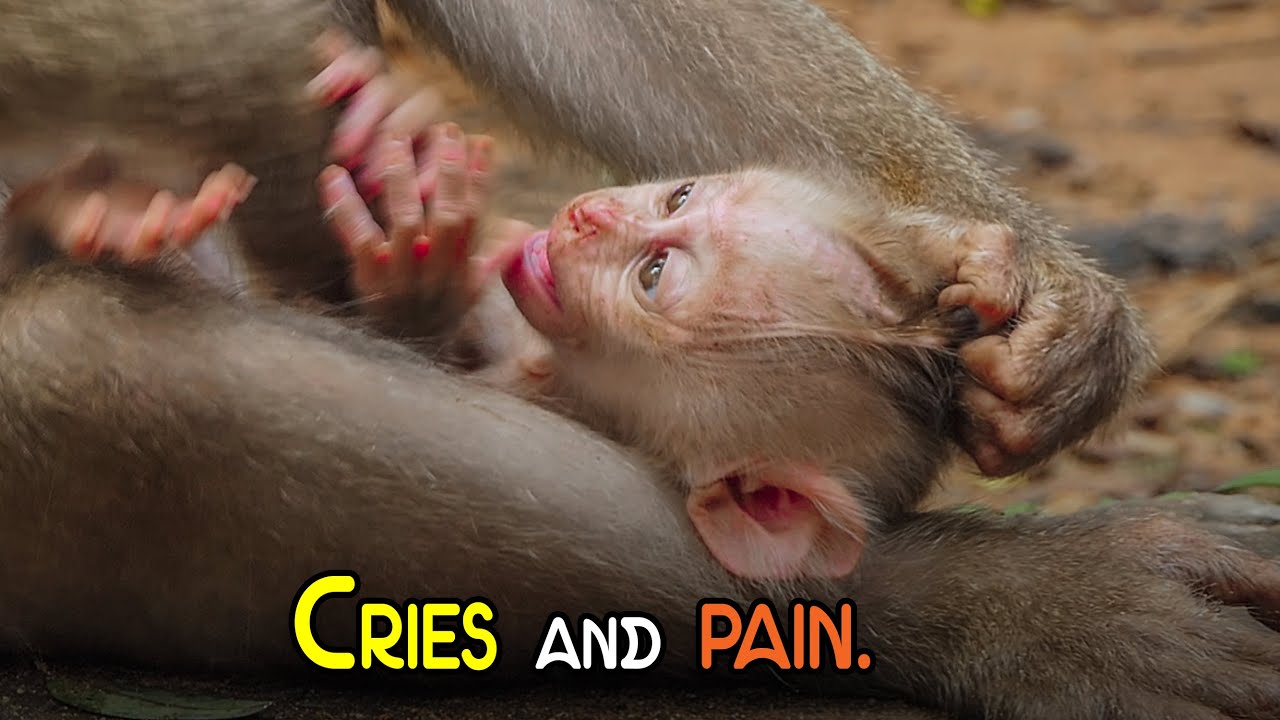 Monkey Libby causes so much pain to Leo that he sobs in pain. - YouTube
