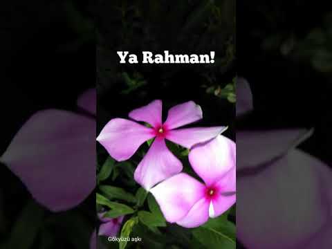 Dini Sözler | 2020 | Gözyaşı Allah içinse eğer, mübârek ve mukaddestir.