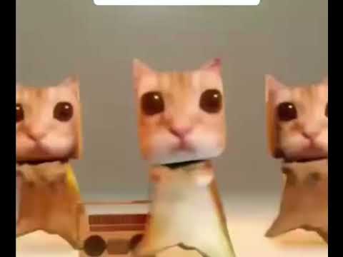 Meow - YouTube