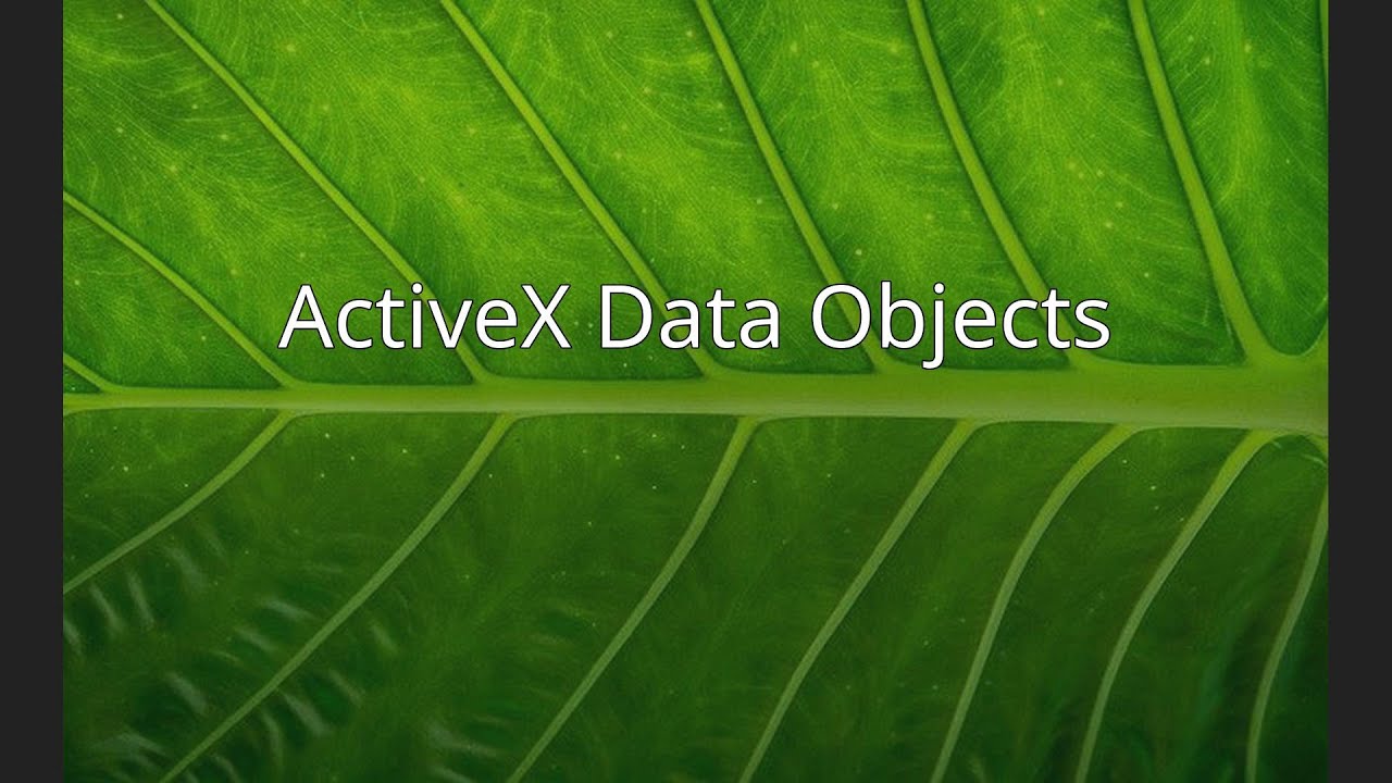 ActiveX Data Objects - YouTube