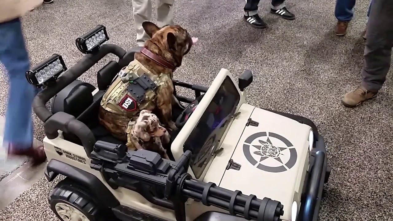 Dark Storm Norm at SHOT Show 2020 Norm & Tactical Taz - YouTube