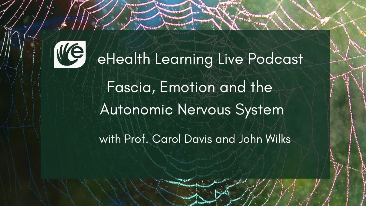 Talk - Fascia Emotion and the Autonomic Nervous System - YouTube