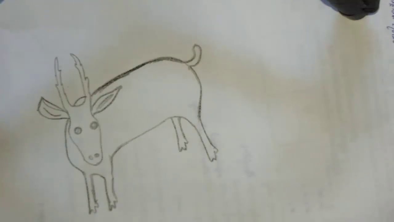 learn drawing dear with pencil | DRAWING PICTURE - YouTube