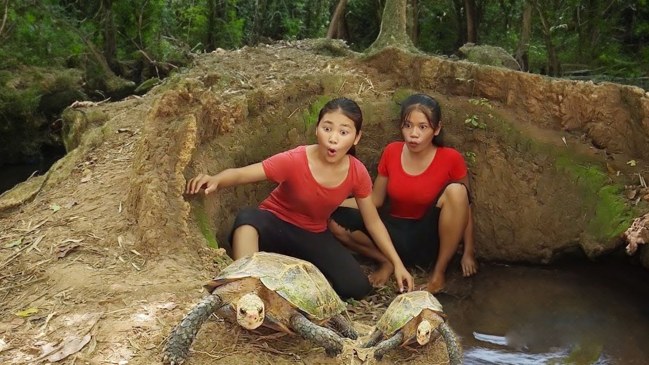 Wow meet the giant turtle, cooking eggs with water spinach for food and ...