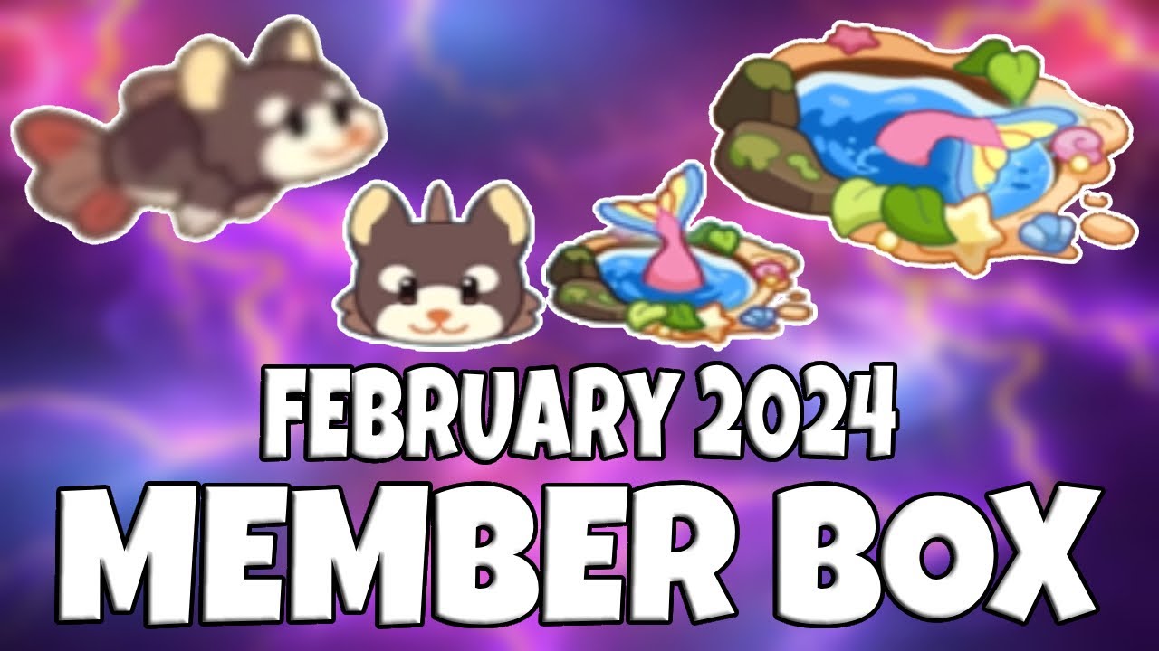 Prodigy Math Game | AMAZING February 2024 MEMBER BOX Opening! - YouTube