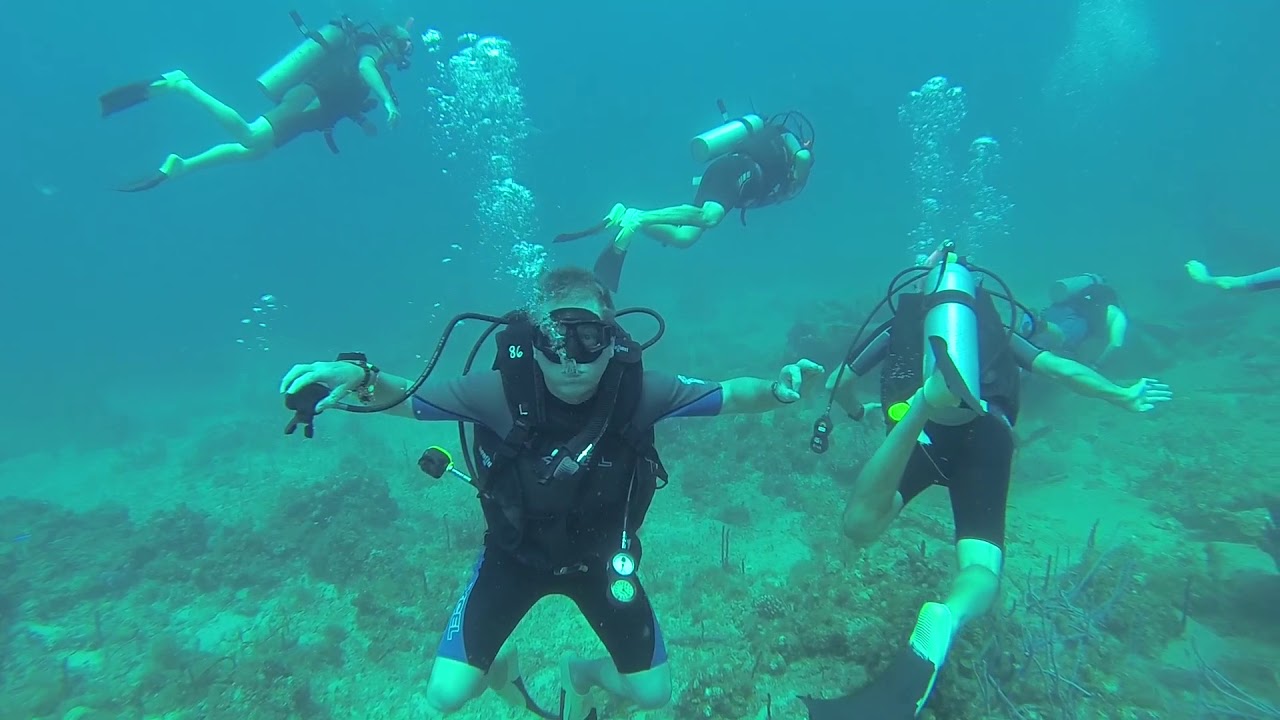 St Thomas Dive - YouTube