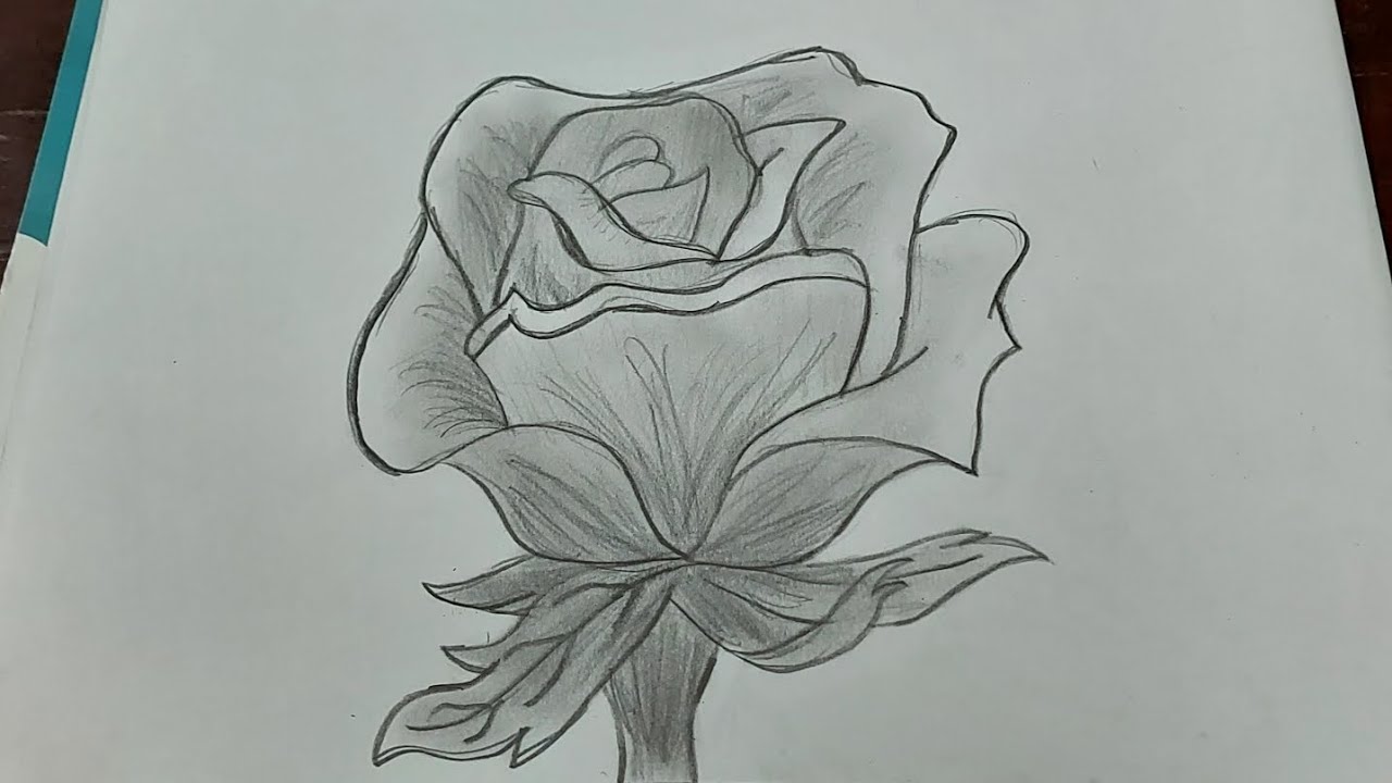 Lukisan 3D Pensil, Flower 🌹😍 - YouTube