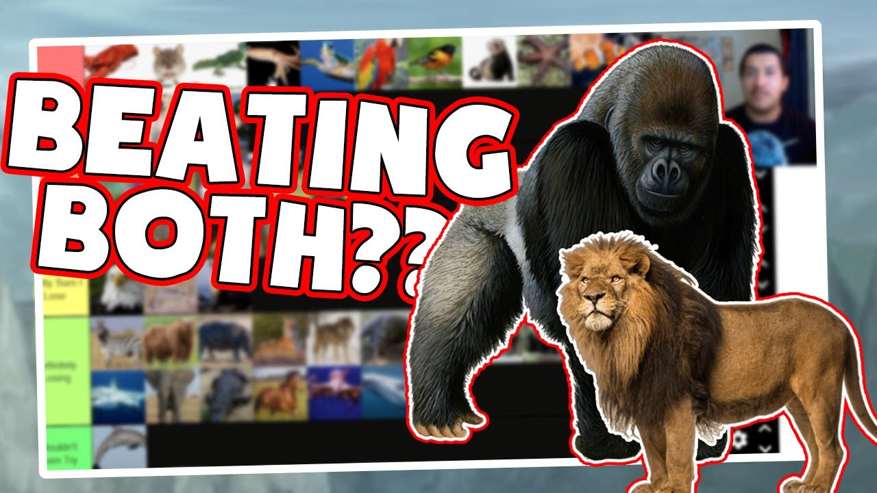 Ranking Animals I Can BEAT In A Fight! - YouTube