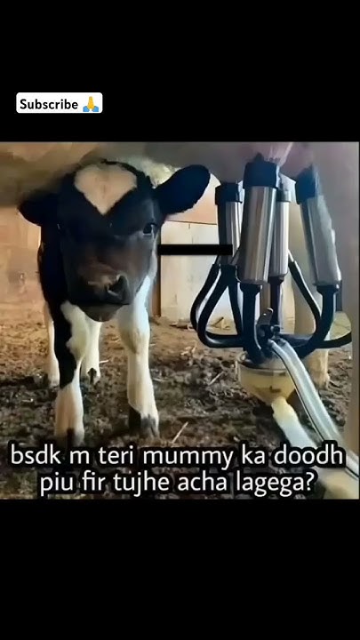 Bsdk Main Teri Mummy Ka Doodh Piu Fir Tujhe Acha Lagega Funny Memes Shorts 😱👻😝😂🤣 Youtube
