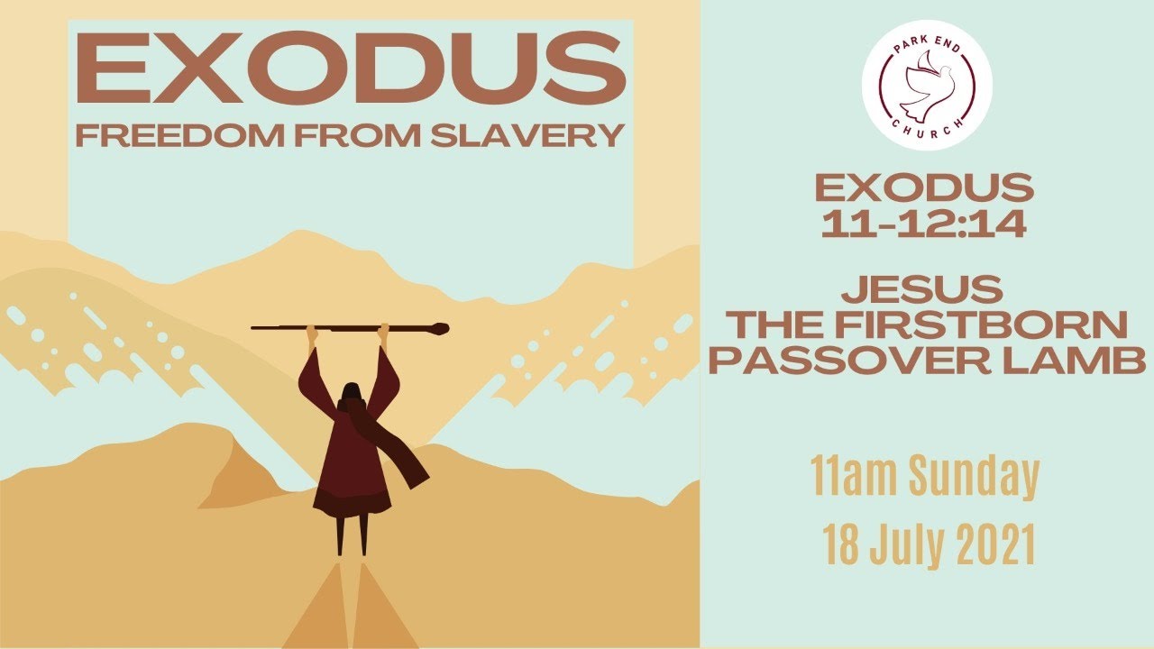 Jesus the Firstborn Passover Lamb || Exodus 11-12:14 || 11am Sunday 18 ...