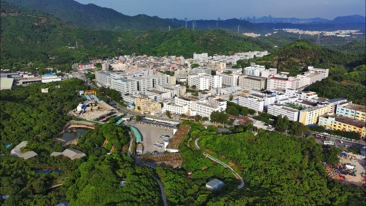 Fimi mini 3 4K/60fps daytime-2 - YouTube