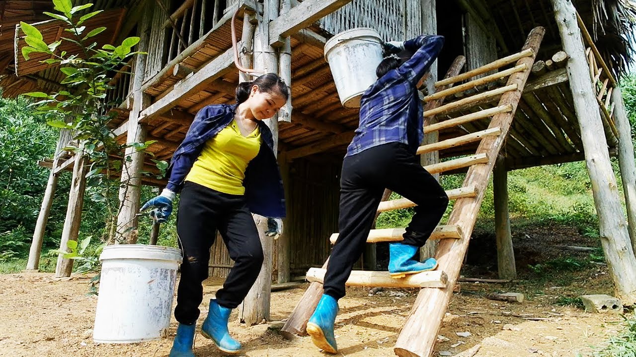 Building new life ep4: build wood stoves in wooden house to start a new ...