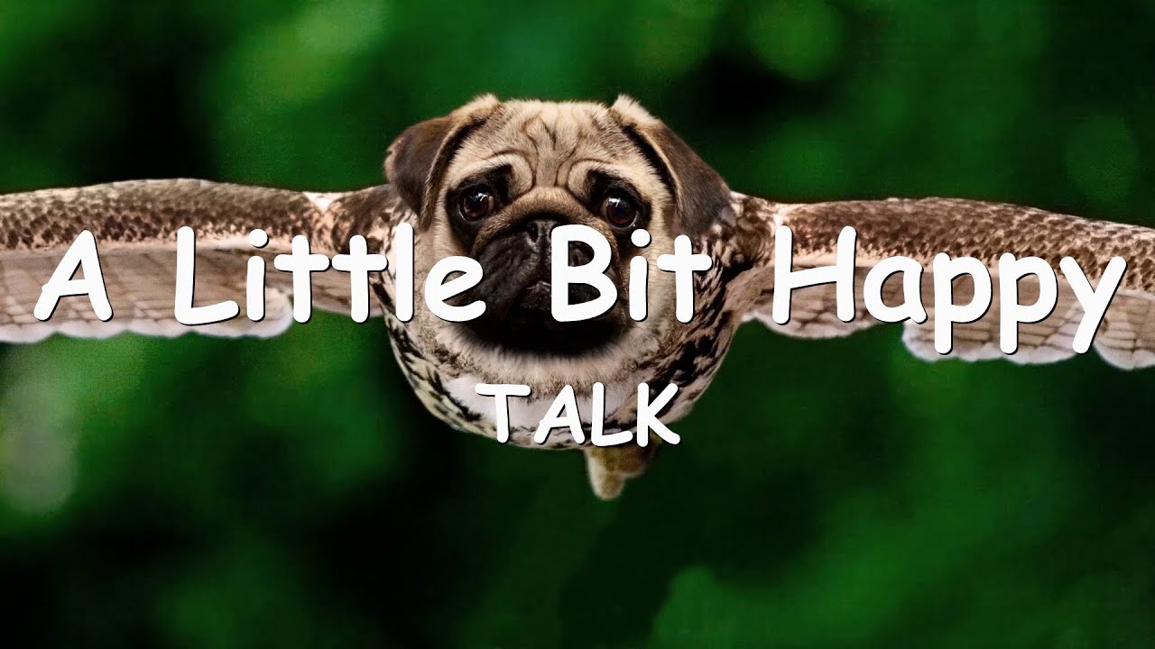 TALK - A Little Bit Happy (Lyrics) 💗♫ - YouTube