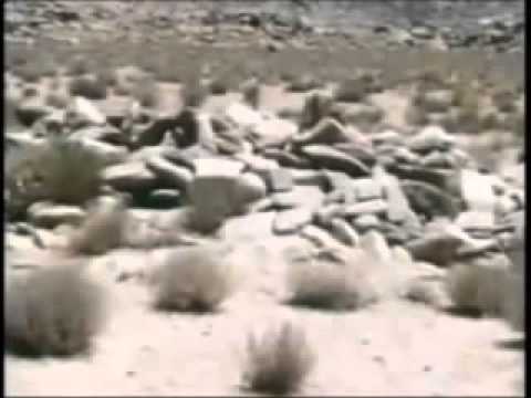 Archaeological evidence for the Biblical Exodus - YouTube