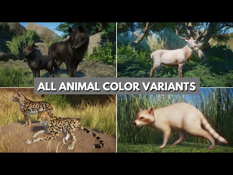 Planet Zoo: ALL COLOR VARIANTS - YouTube