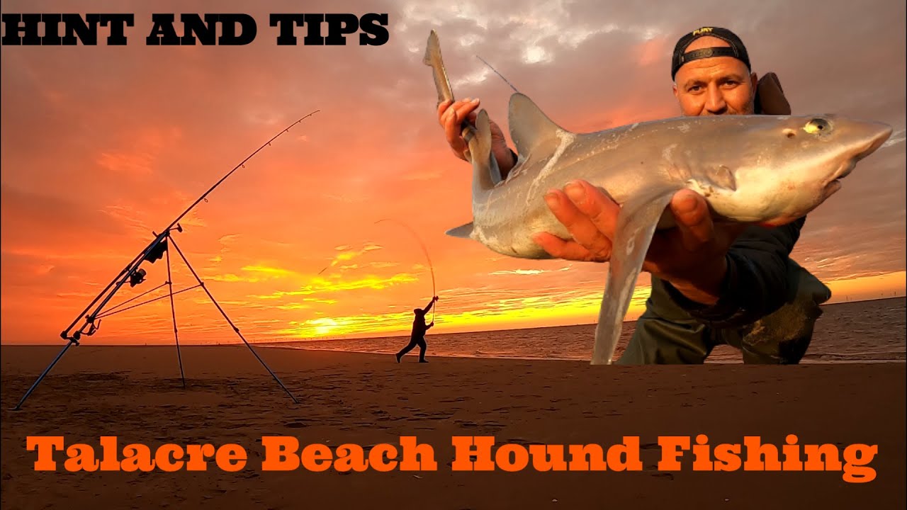 Smooth Hound Fishing at TALACRE BEACH with a Fantastic Sunset | SEA ...