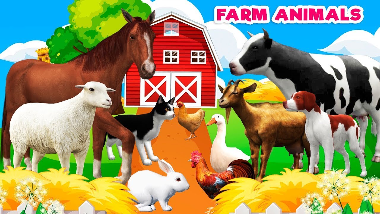 The Animals On The Farm|Farm Animals Song - Animals Sounds Song - Walk ...