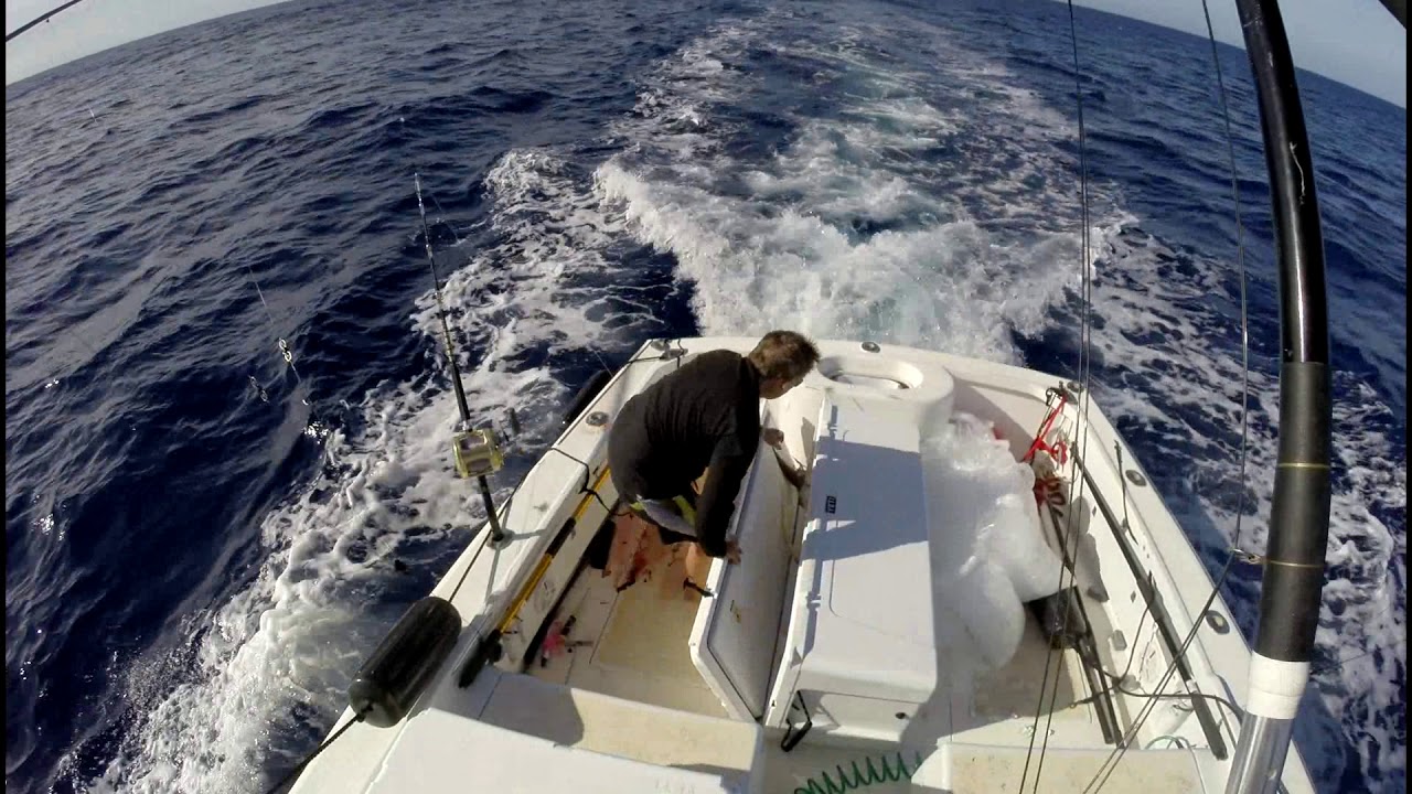 Linnea and Savannah get their Ahi on the Aolani at Waianae, Hawaii on 8 ...