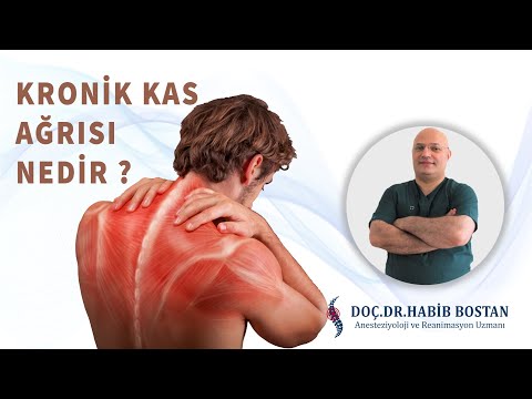 KRONİK KAS AĞRISI NEDİR ? - DOÇ.DR.HABİB BOSTAN