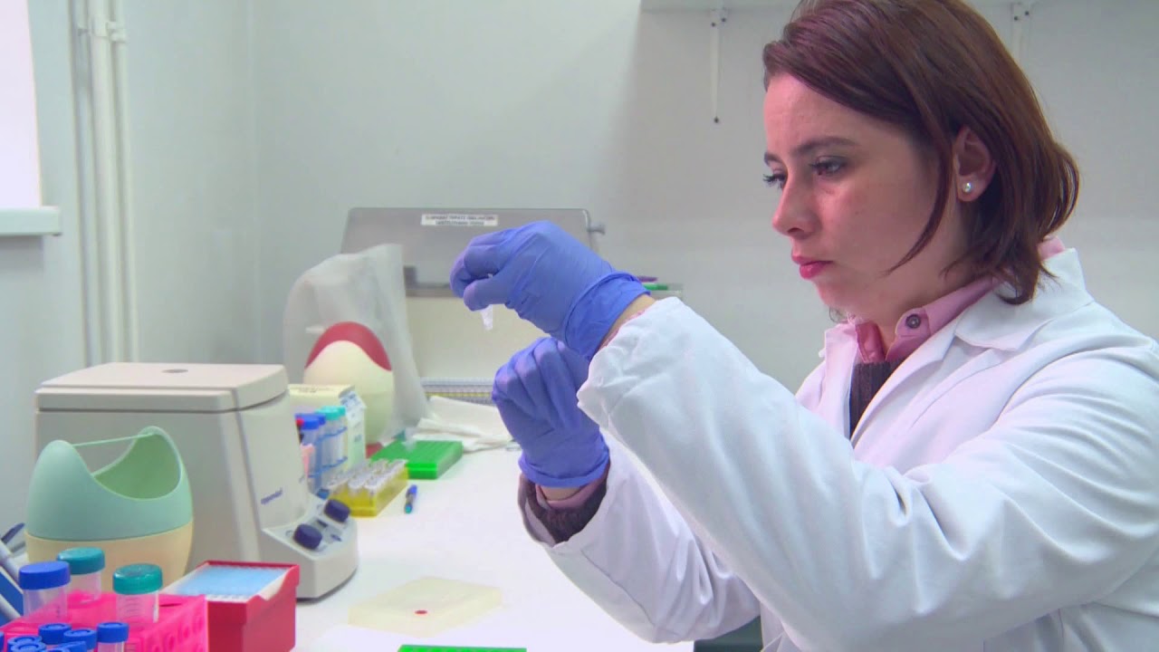 About INGEB (Institute for Genetic Engineering and Biotechnology ...