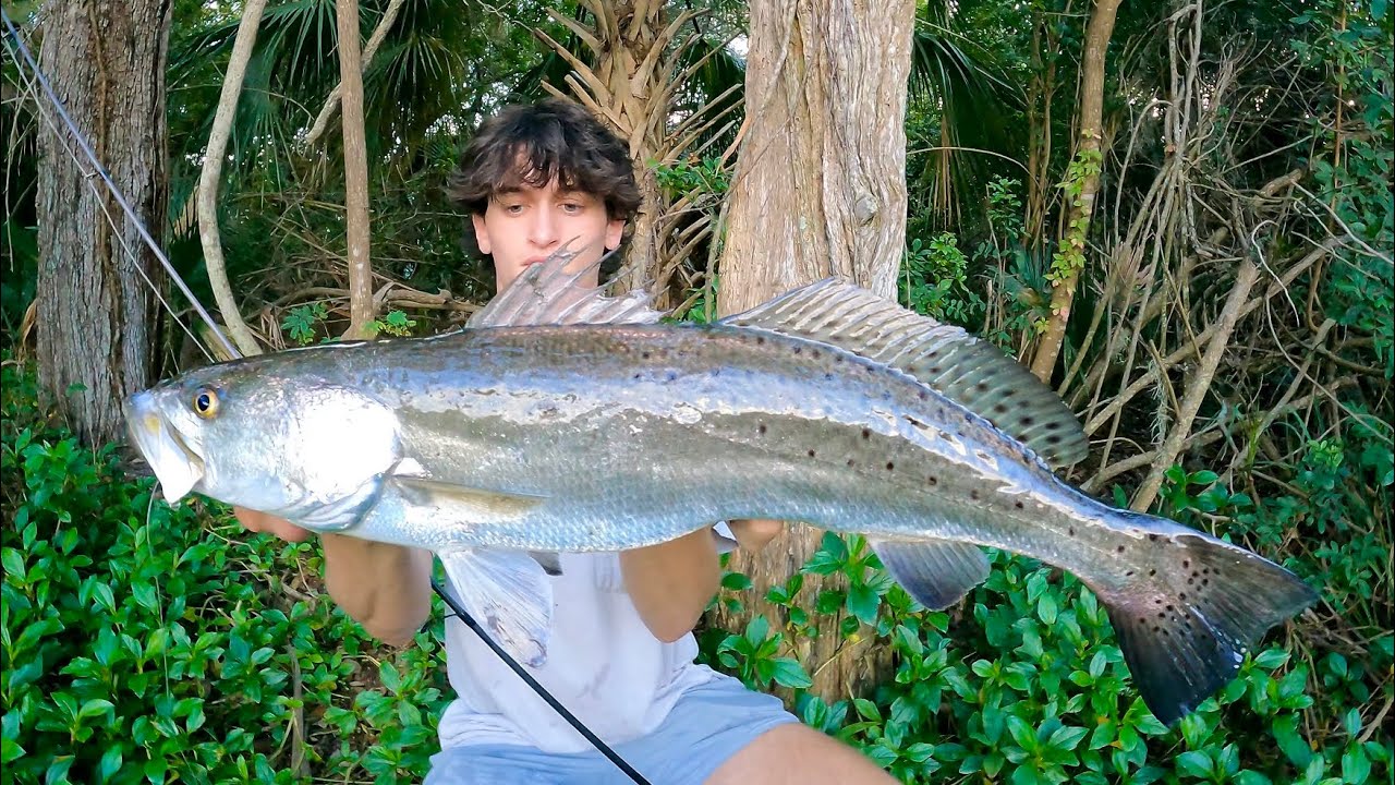 SECRET Backwater Fishing With LIVE MULLET - YouTube