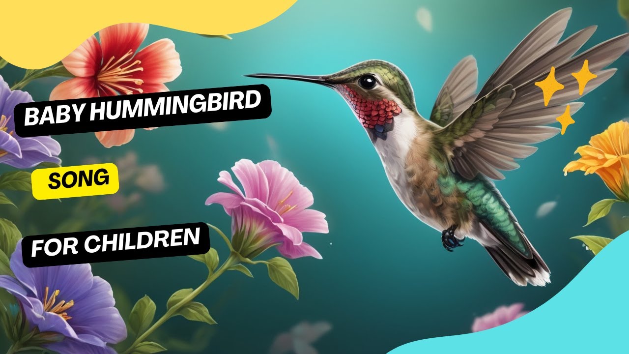 Baby Hummingbird Song for Children - YouTube