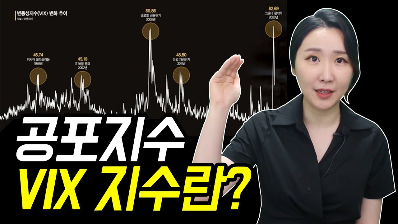공포지수 VIX지수란? 개념부터 지수 보는 법 (변동성지수, VKOSPI) - YouTube