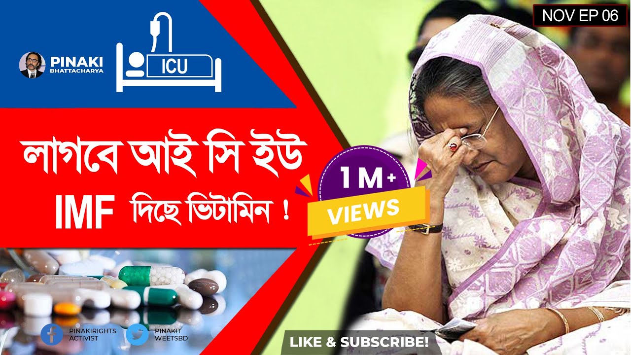 হাসিনার লাগবে আই সি ইউ IMF দিছে ভিটামিন || Pinaki Bhattacharya || The ...