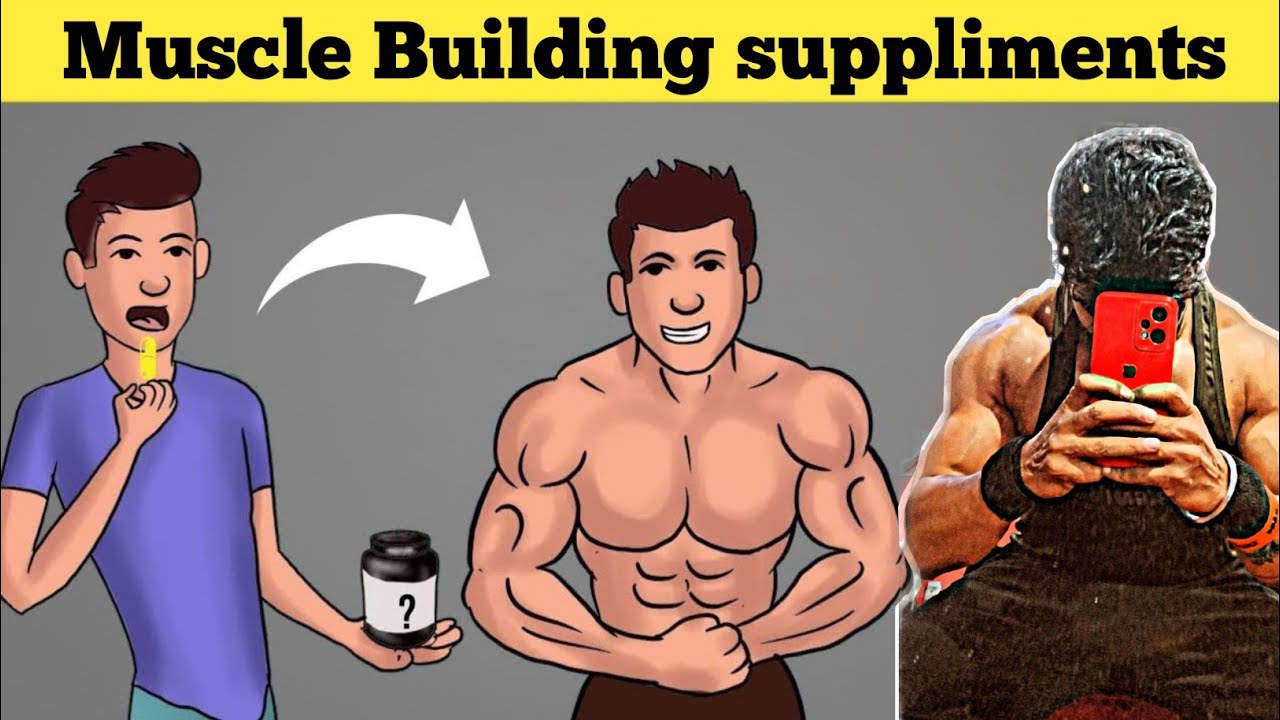 5 Best Muscle Building 💪 Supplements | Build Muscle Faster | rohit ...