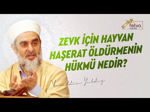 Zevk için hayvan haşerat öldürmenin hükmü nedir? - Nureddin Yıldız - sosyal Doku Vakfı
