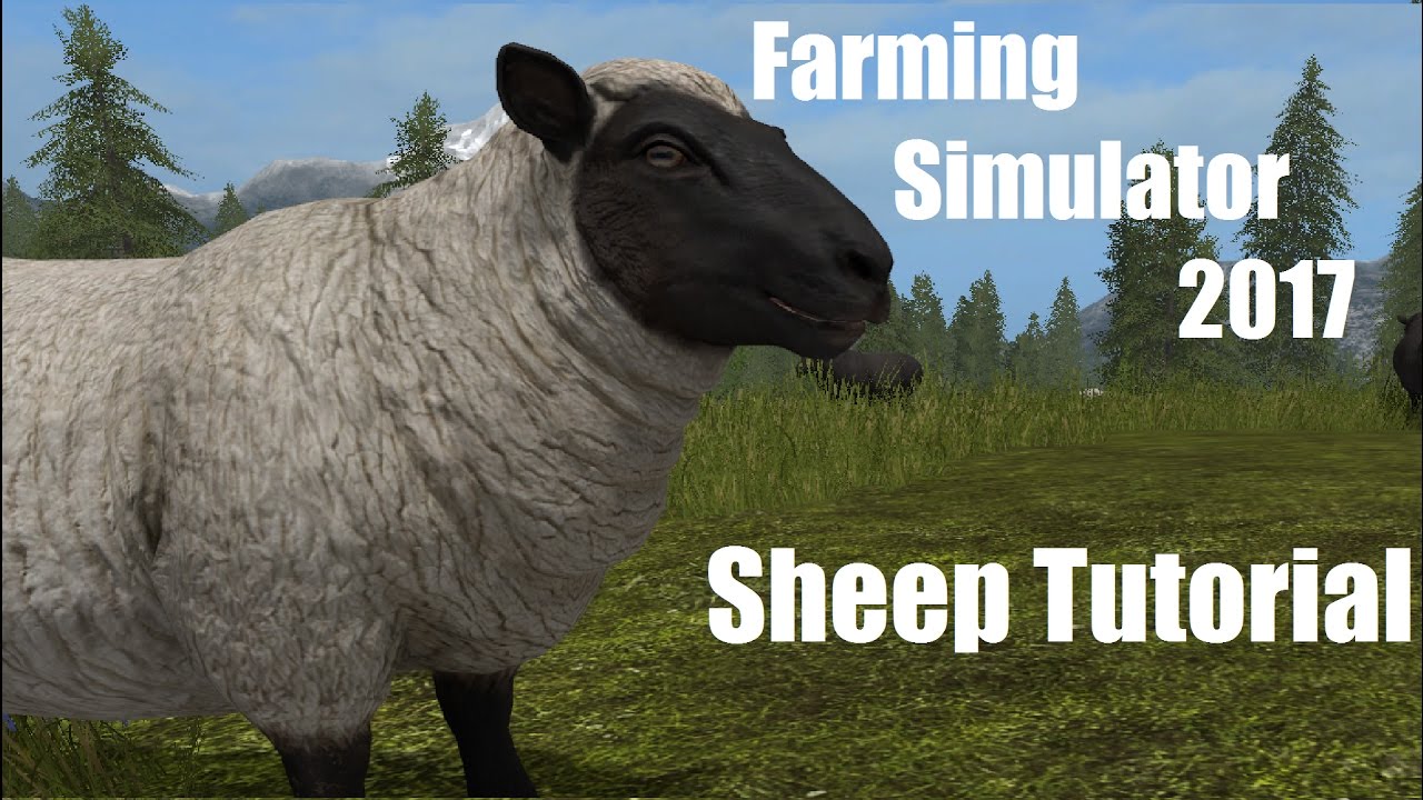 Farming Simulator 17 Sheep Tutorial - YouTube
