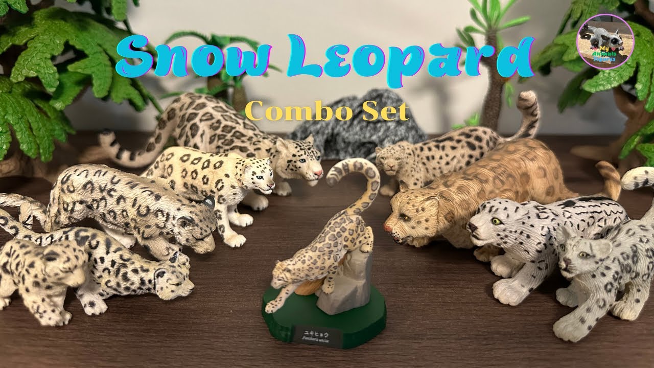Snow Leopard Combo Set (7 Brand) เสือดาวหิมะ 7 ค่าย 🥰 - YouTube
