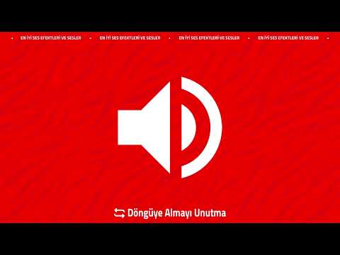 Baykuş Sesi - Baykuş | Ses Efekti