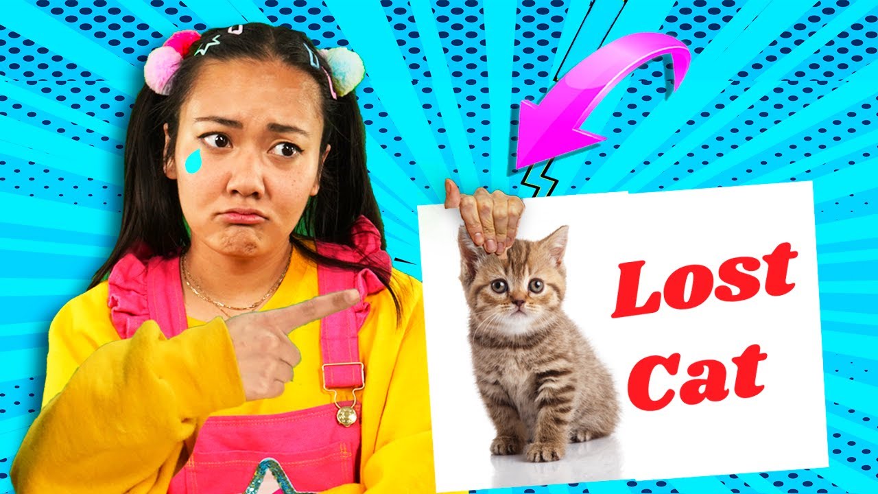 Ellie's Lost Cat Search at Home - YouTube