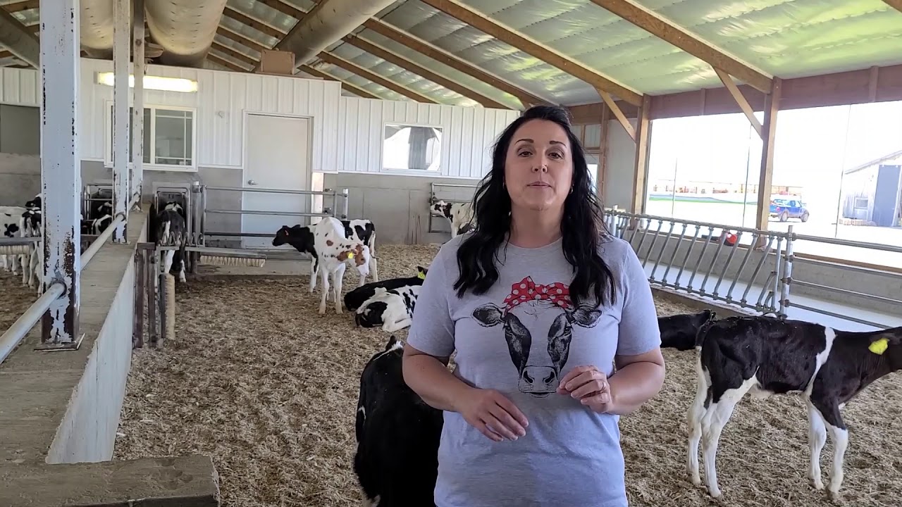 DBA board member Amy Penterman: DBA helps lawmakers understand dairy ...