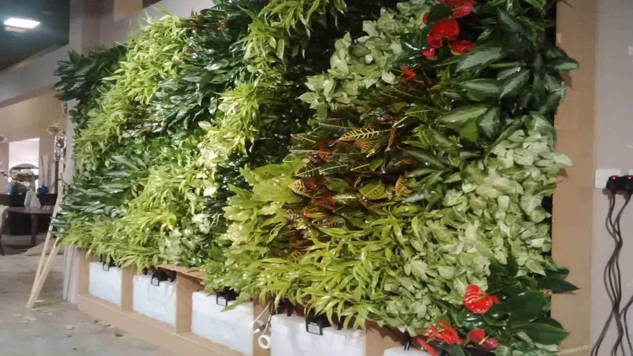 Green wall installation method - YouTube