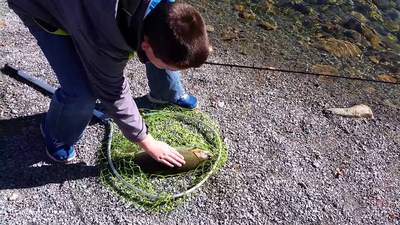 Luke's 4lb. Rainbow trout. Grandfather Trout Farm - YouTube