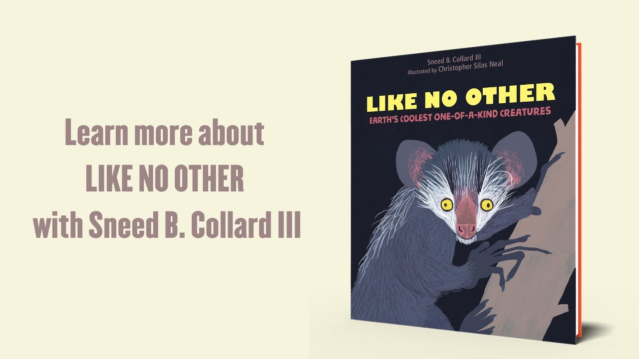 Discover LIKE NO OTHER by Sneed B. Collard III, illustrated by Christopher Silas Neal - YouTube