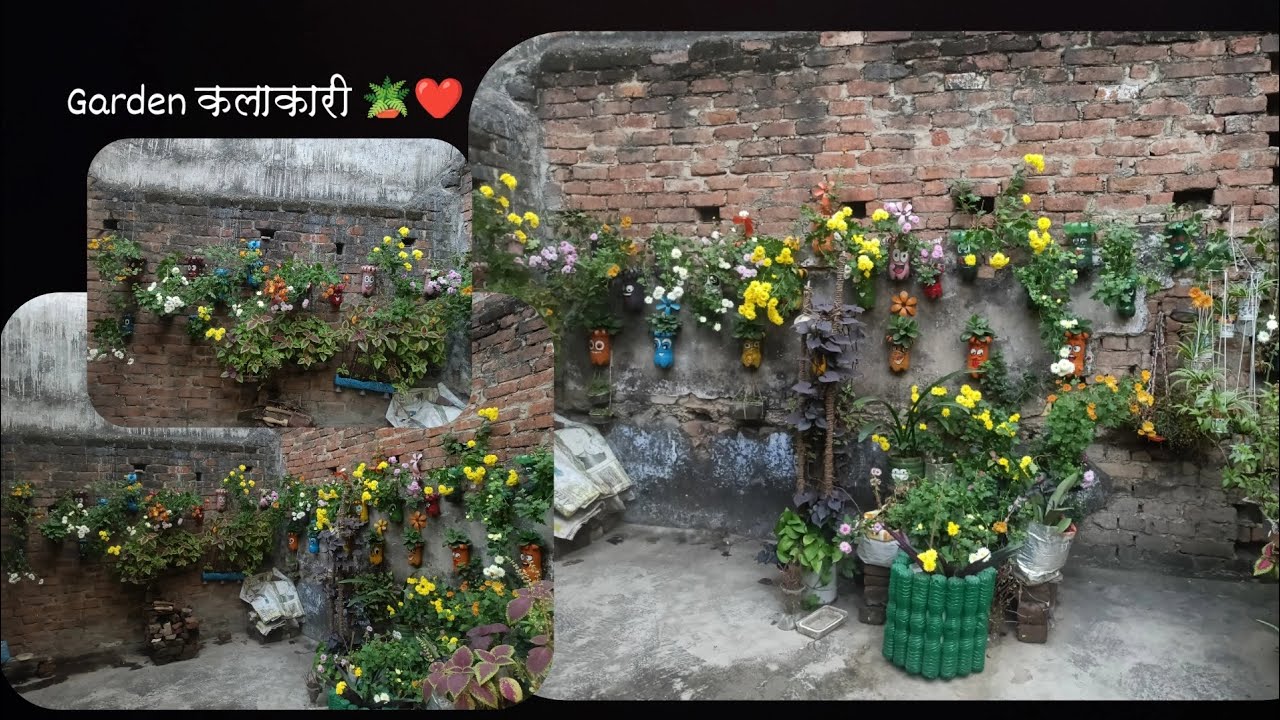 Part 2 || Guldavari plants blossom 🌼 || Garden view after 60 days || # ...