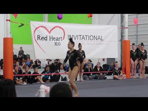 Alexa Chan Level 7 Gymnastics Floor Routine