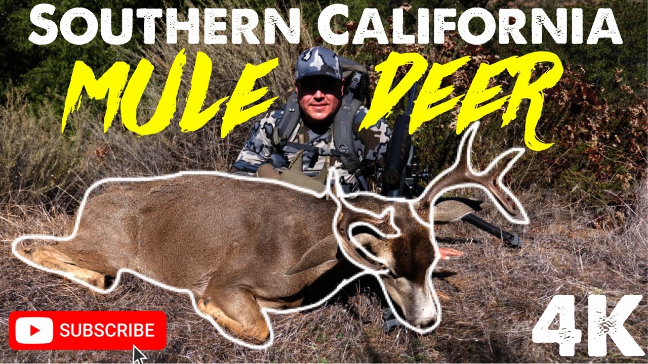 SOLACE | Southern California Mule Deer Hunt | CACCIA OUTDOORS - YouTube