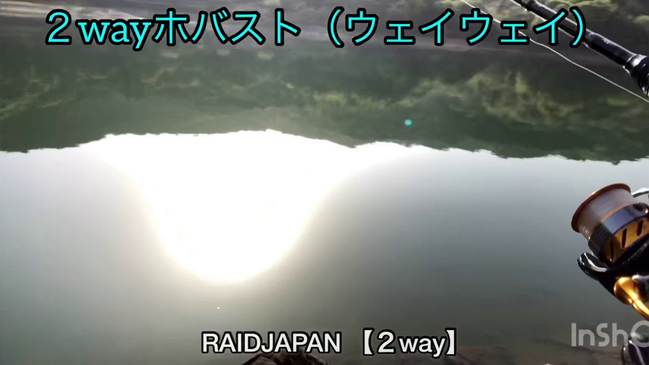バス釣り RAIDJAPAN 【2WAYホバスト】ウェイウェイ - YouTube