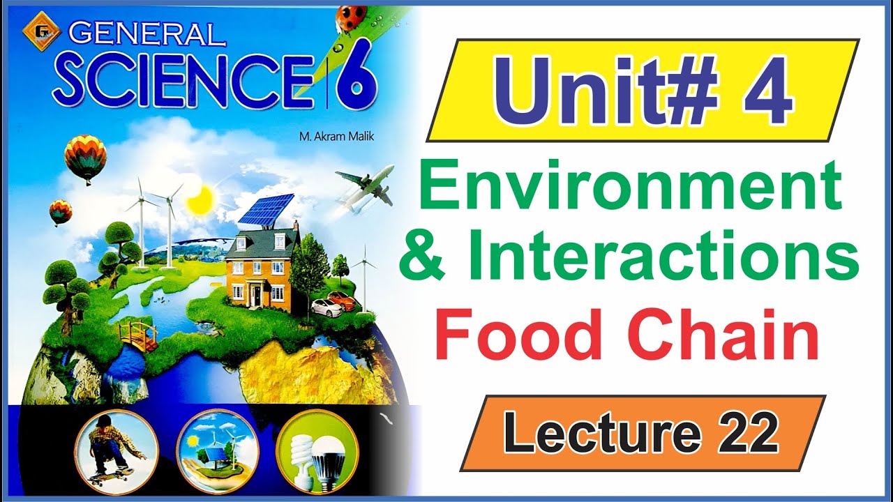 Food Chain | Class 6 Science Unit 4 Environment and Interactions ...