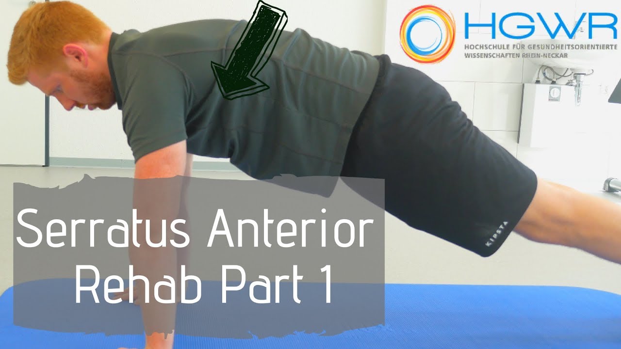 Top Exercises for Serratus Anterior - Fix Scapular Winging - Part 1 ...