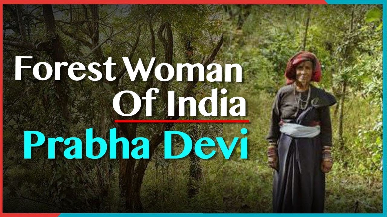 Prabha Devi Semwal: 66 years Old Woman Grown more than 500 trees | Forest Woman - The Indianness ...