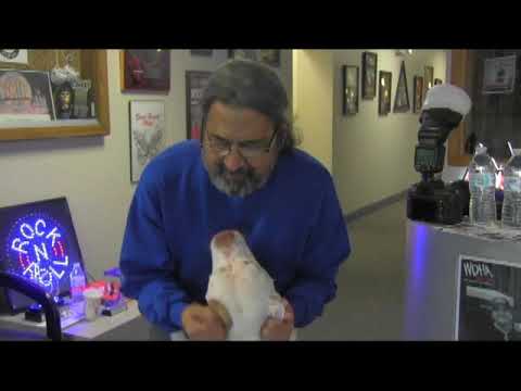 WMTR's Rock N Ruff with Maddie - YouTube